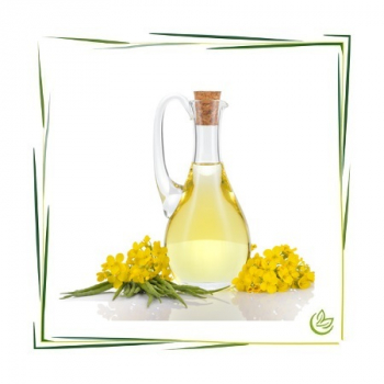 Rapsöl Rüböl raffiniert BIO Brassica Campestris Seed Oil - www.manske ...