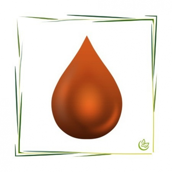 Lysolecithin flüssig NGM 100 ml - www.manske-shop.com